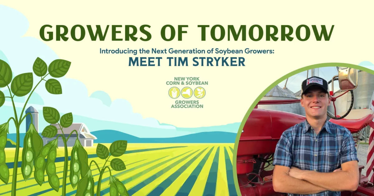 Introducing the Next Generation of Soybean Growers: Meet Tim Stryker ...